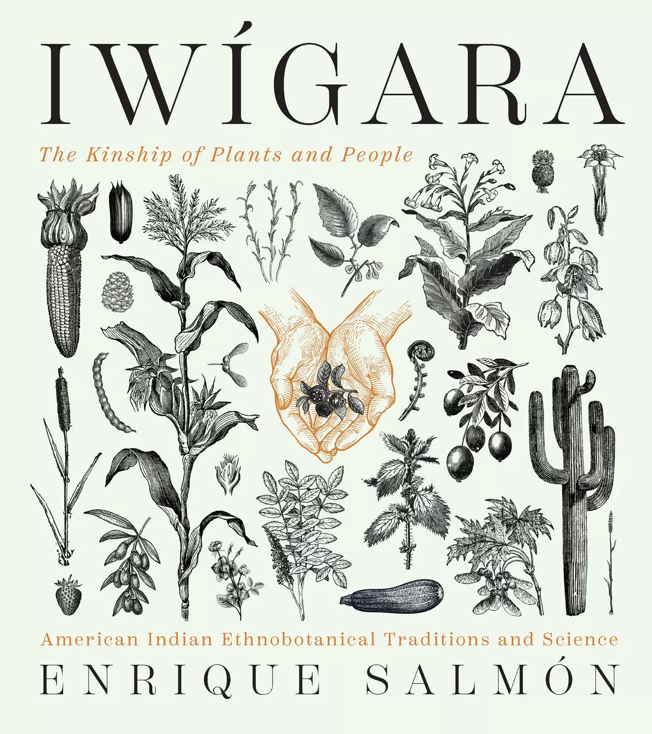 Omslag van die boek met illustrasies van inheemse plante en bestanddele.