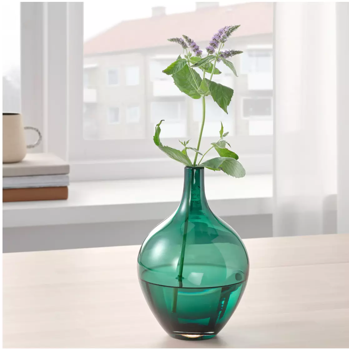 Bild kann enthalten: Vase, Keramik, Glas, Pflanze, Topfpflanze, Inneneinrichtung, Innenaufnahme, Blume und Blüte