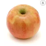 Fuji Apple