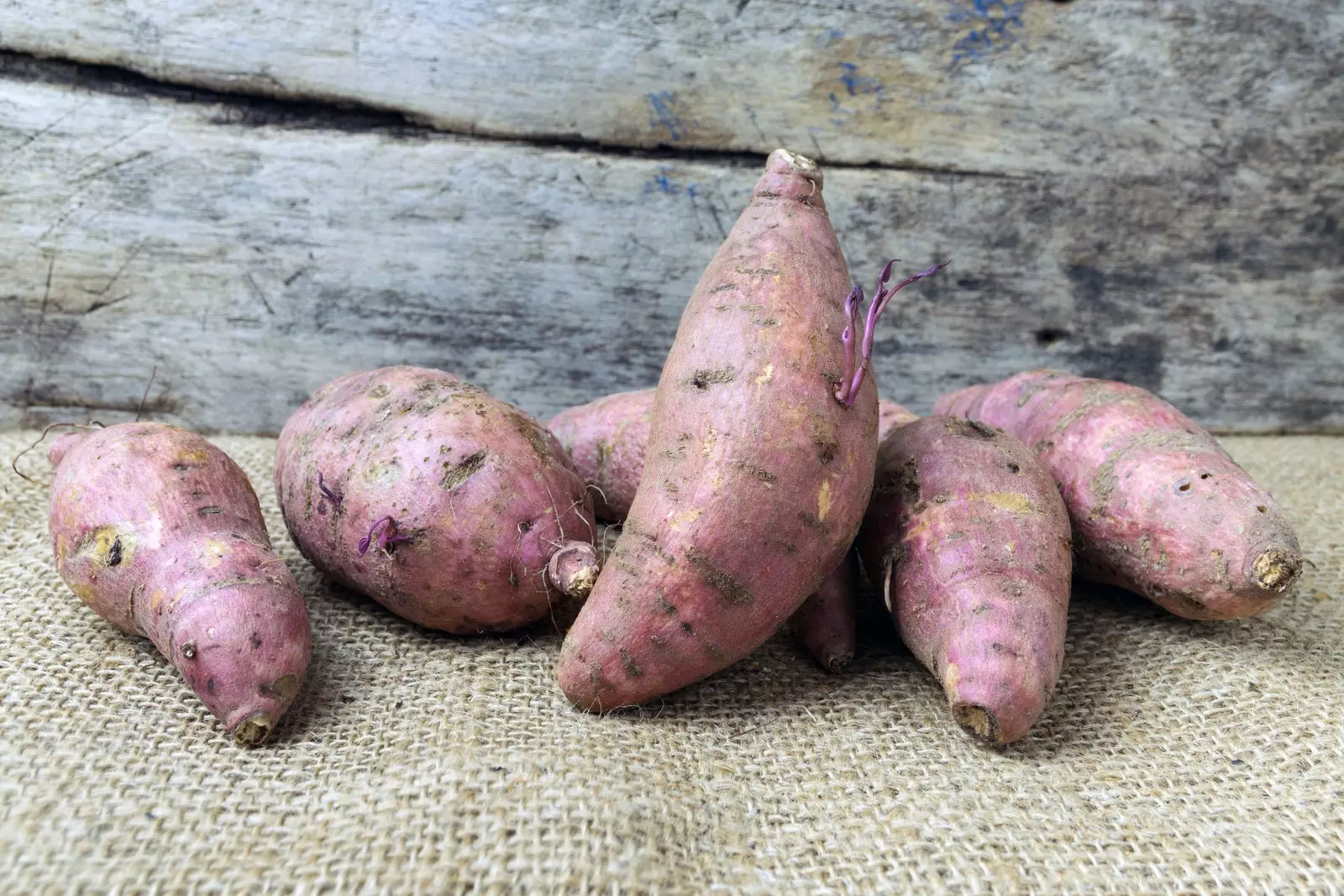 Maaaring naglalaman ang larawan ng Plant Vegetable Yam Sweet Potato Food and Produce