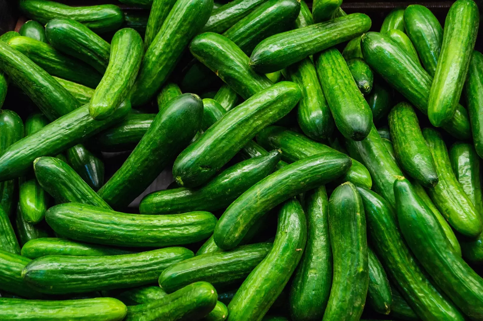 Questa immagine può contenere cibo vegetale e cetriolo