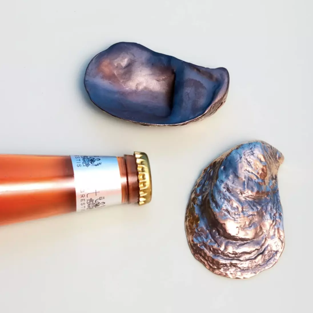 Mufananidzo ungangova ne: Mhuka, Invertebrate, Clam, Hupenyu hweGungwa, uye Seashell