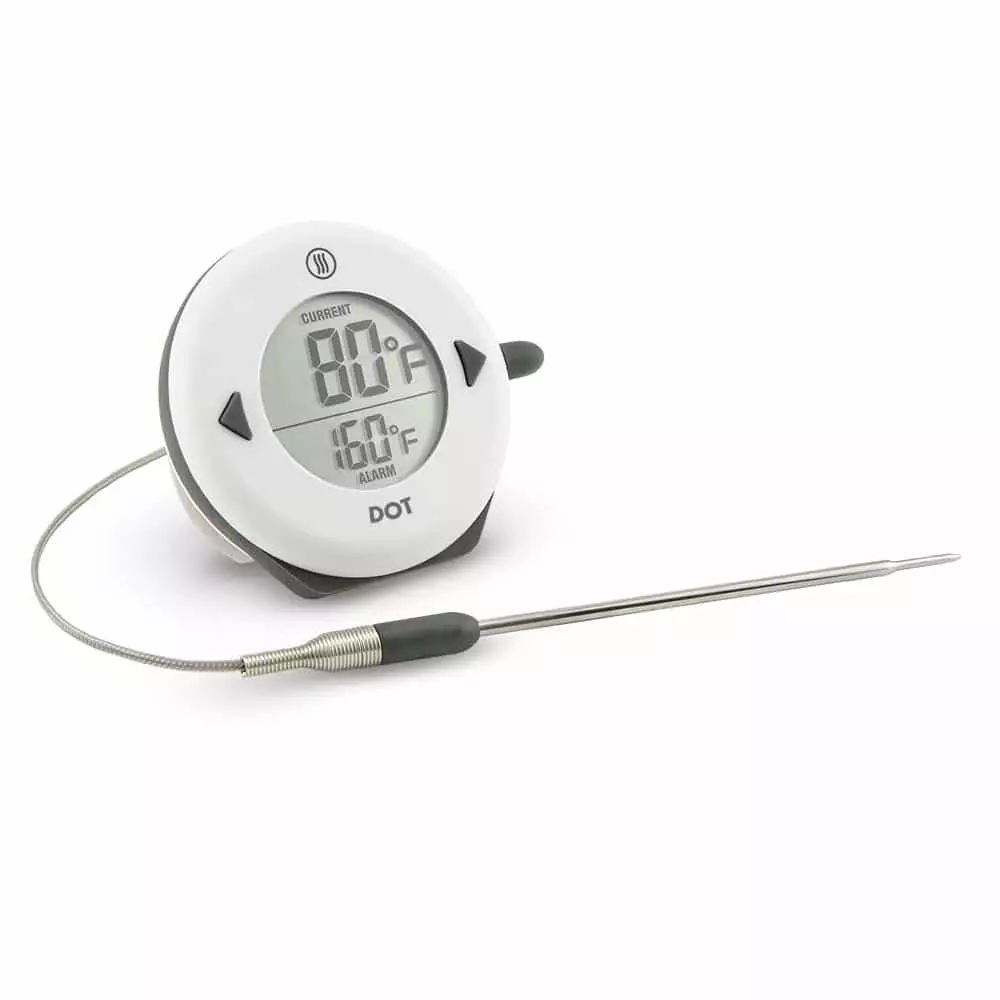 A Set it and Forget it Probe Thermometer Is My Roasting Sidekick 29317_1