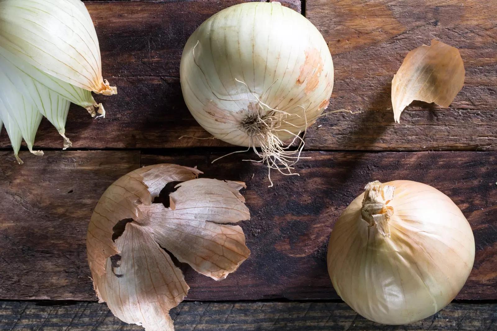 Du pîvazên şêrîn ên tevayî û pêlek pîvazek li quncikê dadiqurtînin.