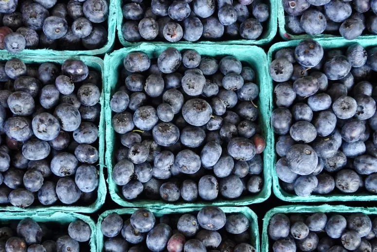 A imaxe pode conter: Planta, Fruit, Comida e Blueberry