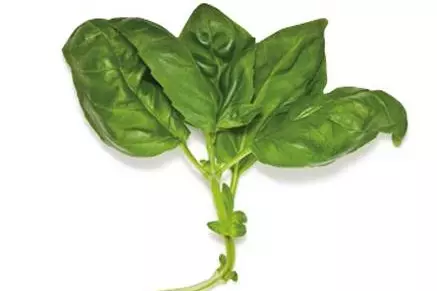 រូបភាពអាចមាន៖ Plant Vegetable Food and Spinach