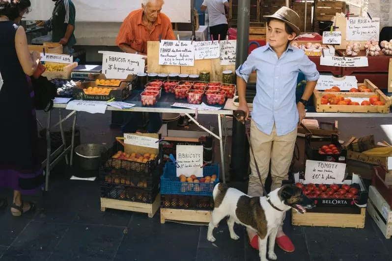 Pojke och liten hund som står vid ett matställ för farmers market.