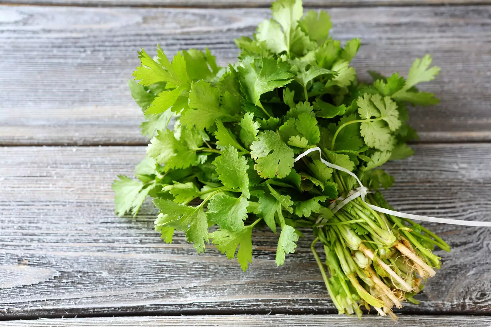 Ang hulagway mahimong adunay sulod nga Pottery Vase Jar Plant ug Parsley