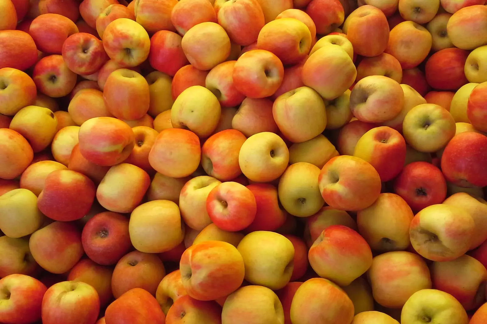 A képen a következők lehetnek: Plant Fruit Food Produce kajszibarack és őszibarack