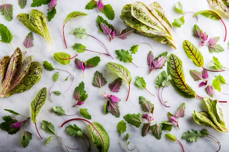 La imagen puede contener: Jarrón, Planta en maceta, Planta, Cerámica, Frasco, Hierbas, Maceta, Hoja y Alimentos