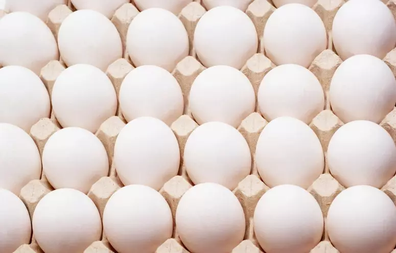 kartong med ägg: konceptkonst för hur man avgör om ägg är dåliga