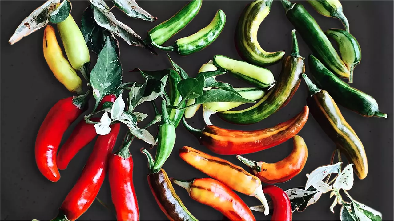 Crita saka Fish Peppers, Warisan saka Taman Afrika Amérika